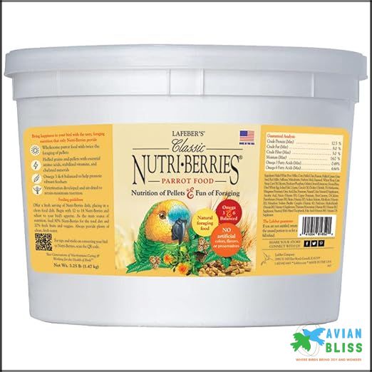 10 Best Bird Foods for Parrots + What to Feed & Avoid (2026)