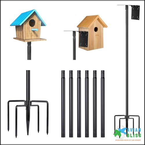 Bird House Mounting Pole Solutions: 9 Best Options That Birds Love in 2025