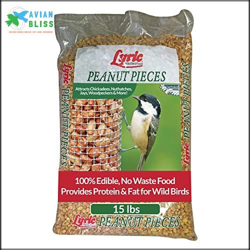 Best Bird Seeds for Wild Birds: Top 10 Types & Brands (2025)