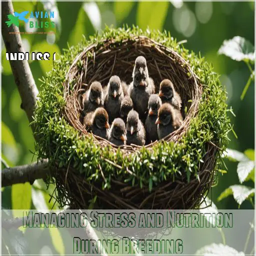 Bird Food for Breeding Season: Top Nutrition Tips and Choices