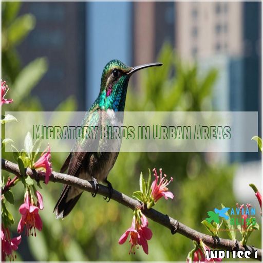 Bird Habitats in Urban Environments: a City's Feathered Friends