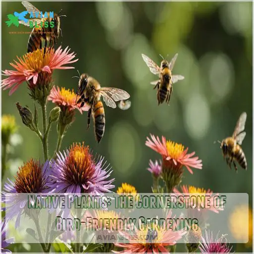 Creating a Bird Friendly Habitat in Your Garden: Easy Tips