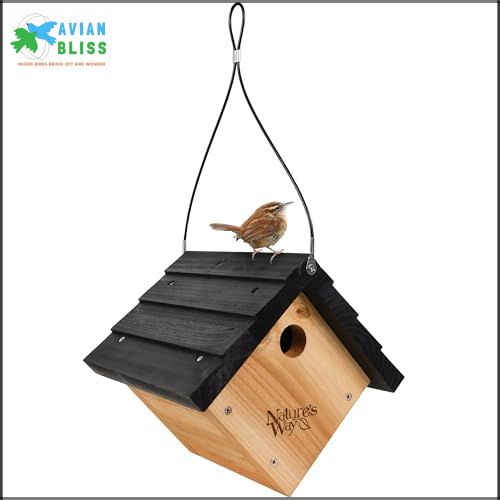 Bird Houses Suitable for Wrens: Top 4 Picks & Expert-Friendly DIY Tips