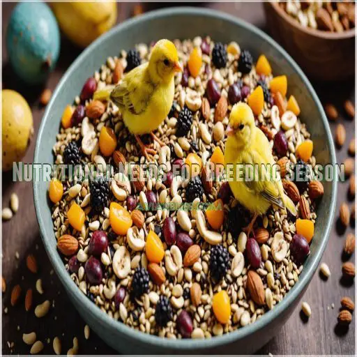 Bird Food for Breeding Season: Top Nutrition Tips and Choices