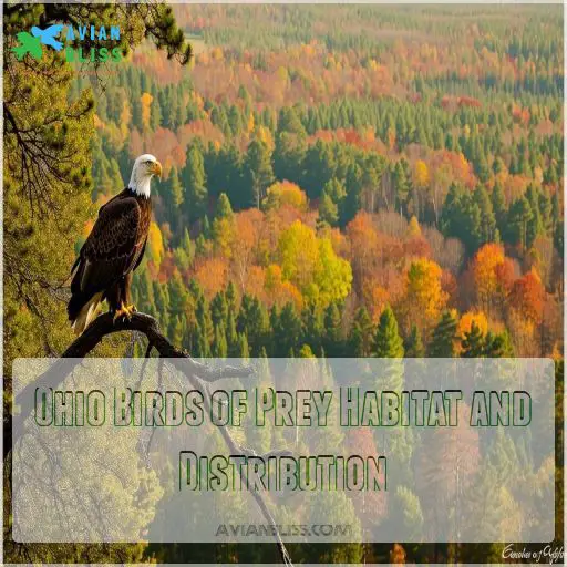 Ohio Birds of Prey: 25+ Amazing Raptors You Can Spot Today (2024 Guide)