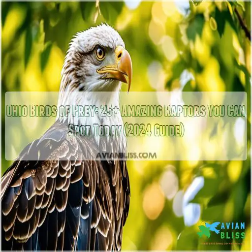 Ohio Birds of Prey: 25+ Amazing Raptors You Can Spot Today (2024 Guide)