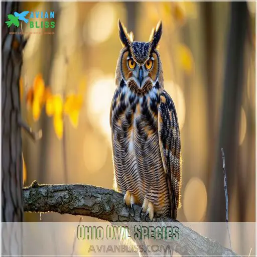 Ohio Birds of Prey: 25+ Amazing Raptors You Can Spot Today (2024 Guide)