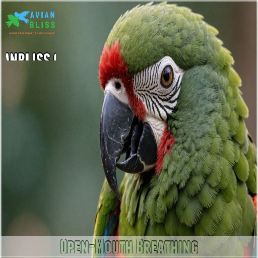 Parrot Respiratory Problems: Causes, Symptoms, and Treatment