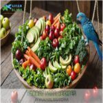 Homemade Bird Food Recipes: Easy Tips for Happy Backyard Birds