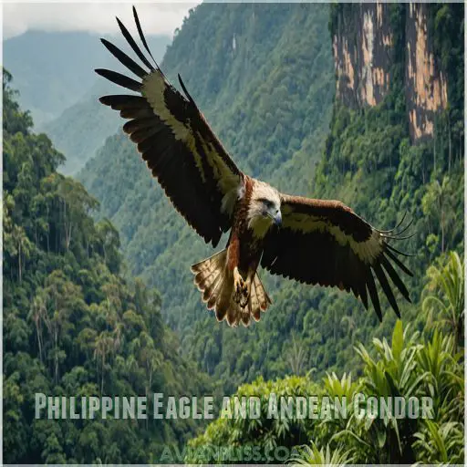 Bird Facts About Their Lifespan: Surprising Longevity Secrets Revealed!