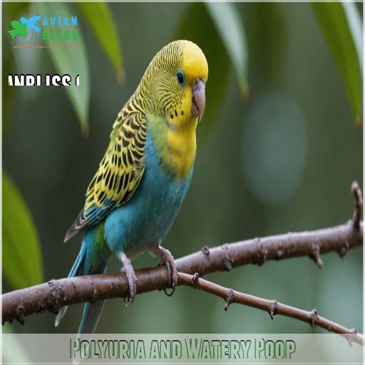 Budgie Diarrhea Causes: Symptoms, Treatment, and Prevention