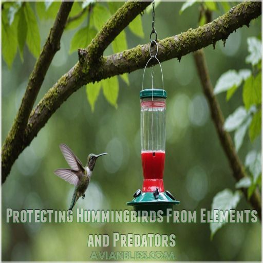 Where to Hang Hummingbird Feeder: 10 Surprising Spots for Buzzing Success