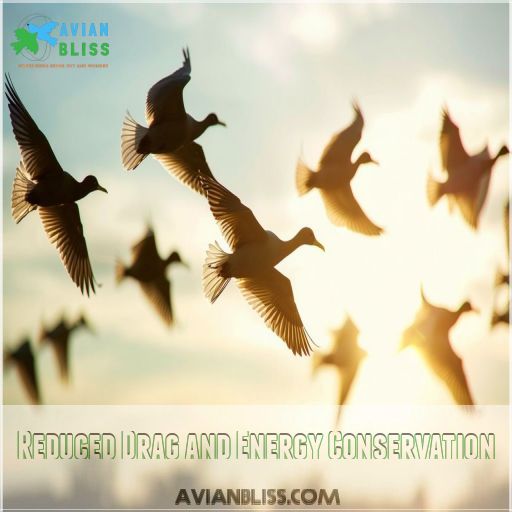 Why Do Birds Fly in a V Formation? The Fascinating Science Behind ...