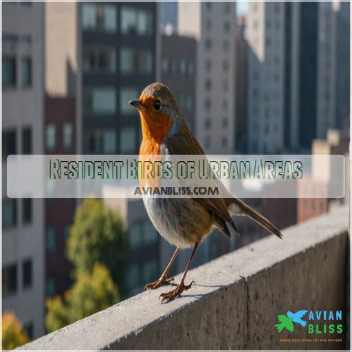 Bird Habitats in Urban Environments: a City's Feathered Friends