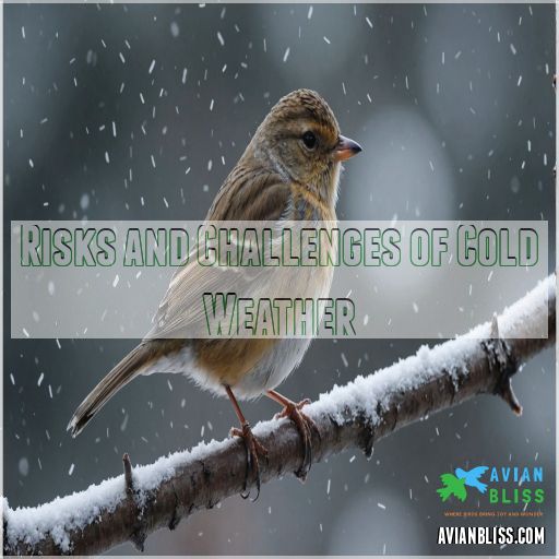 Do Birds Get Cold? 7 Surprising Ways They Beat Winter's Chill