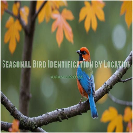 Bird Identification by Location: Guide to Spotting Nearby Birds