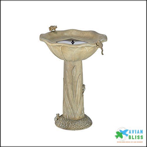 Bird Bath With Solar Fountain Pump: 8 Best Models 2025 Guide