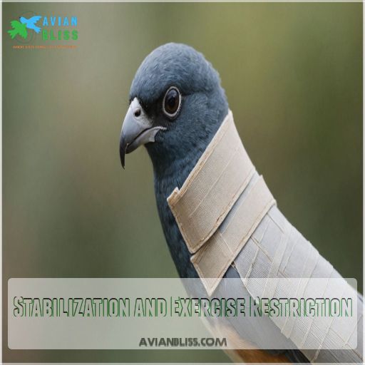 Bird Leg Injuries Recovery: Expert Guide to Healing Your Feathered Friend