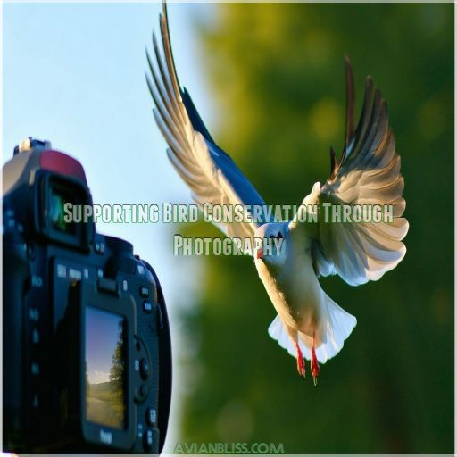 Bird Conservation Through Photography: Amplify Your Impact