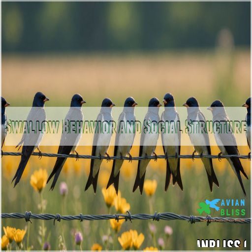 Swallows in Virginia: Top Species & Habitats to Know