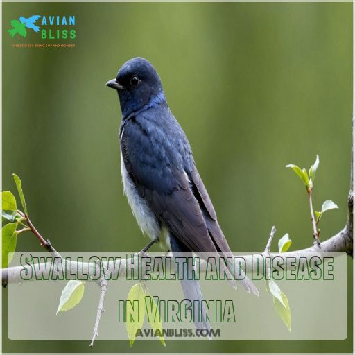 Swallows in Virginia: Top Species & Habitats to Know