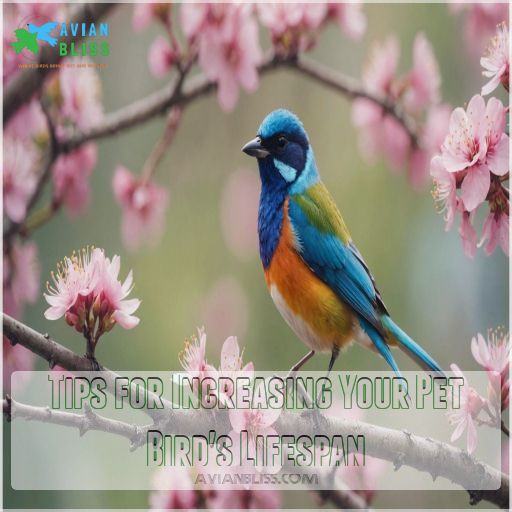 Bird Facts About Their Lifespan: Surprising Longevity Secrets Revealed!