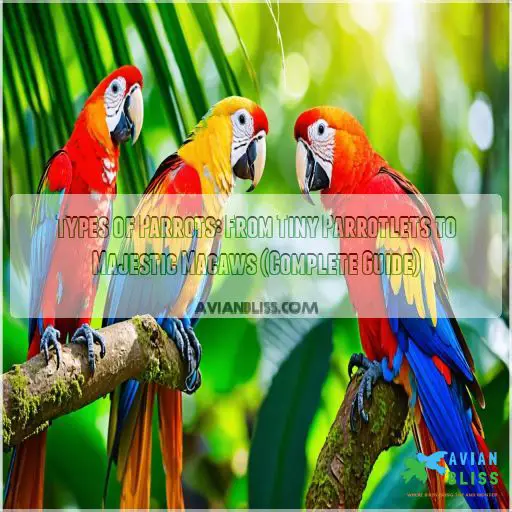 Types of Parrots: From Tiny Parrotlets to Majestic Macaws (Complete Guide)