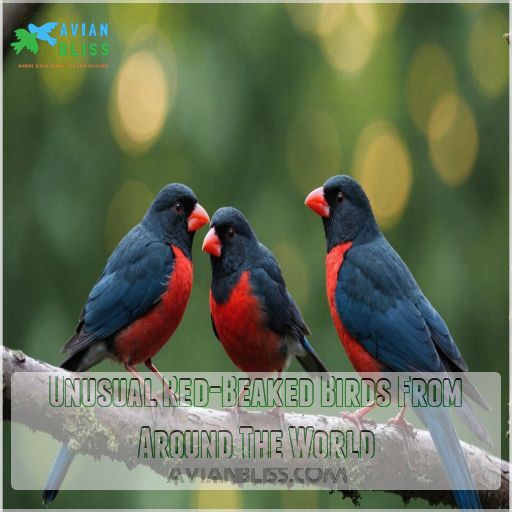 Birds With Red Beaks: 10 Stunning Species That'll Make Your Jaw Drop!