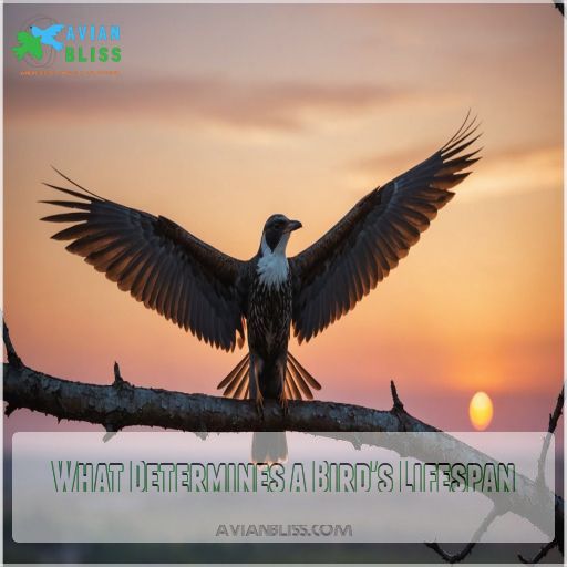 Bird Facts About Their Lifespan: Surprising Longevity Secrets Revealed!