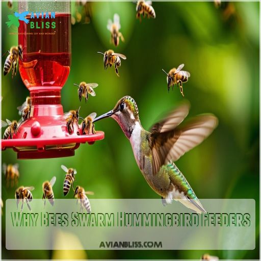 Bees at Hummingbird Feeder? 7 Proven Solutions That Actually Work (2024)