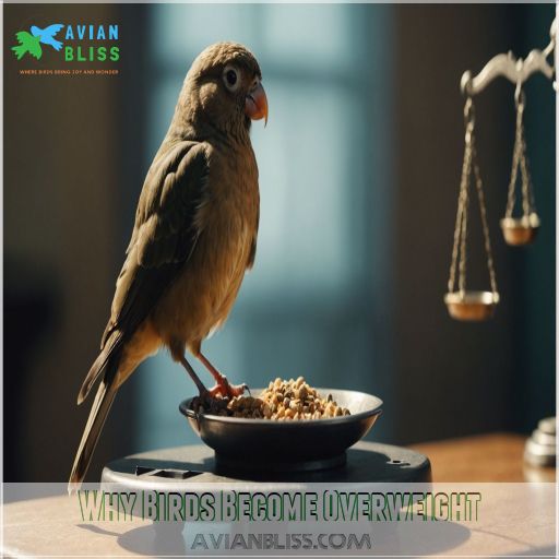 Preventing Obesity in Pet Birds: Tips for a Healthy Happy Bird