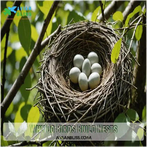 Bird Facts About Nests: 10 Amazing Secrets That Will Blow Your Mind