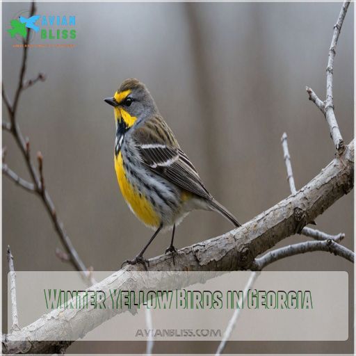 Yellow Birds in Georgia: 10 Stunning Species You Can't Miss!