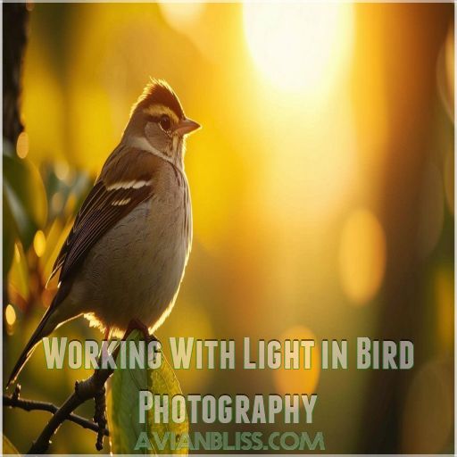 Bird Photography Composition Techniques: Capture Stunning Shots