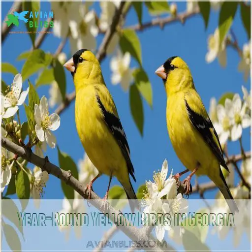 Yellow Birds in Georgia: 10 Stunning Species You Can't Miss!