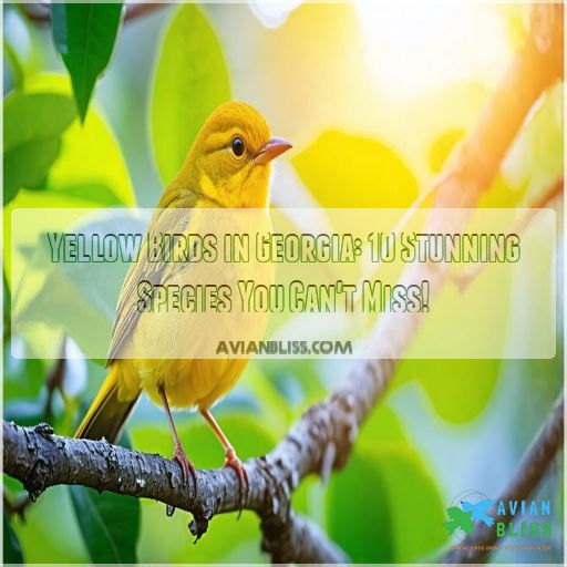 Yellow Birds in Georgia: 10 Stunning Species You Can't Miss!