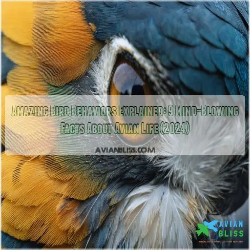 Amazing Bird Behaviors Explained: 9 Mind-Blowing Facts About Avian Life ...