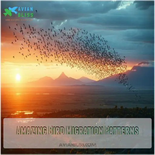 Amazing Bird Behaviors Explained: 9 Mind-Blowing Facts About Avian Life ...