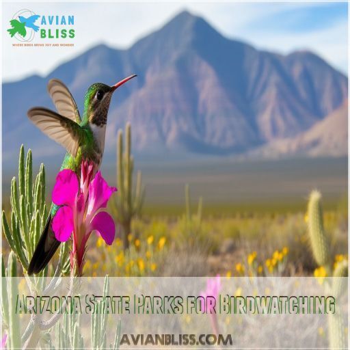 15 Must-See Birds in Arizona: Discover Native Species & Hotspots