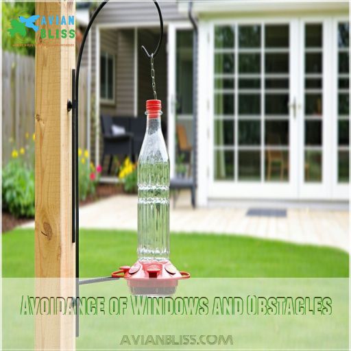 When to Put Out Hummingbird Feeders: Your Seasonal Guide