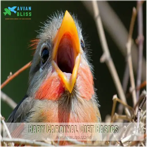 What Do Baby Cardinals Eat? A Complete Feeding Guide for New Parents (2024)