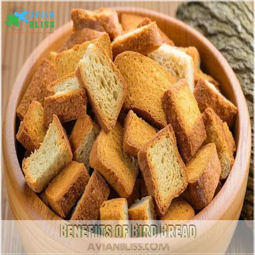 Parrot Food Recipes Homemade: Nutritious Treats Your Bird Will Love