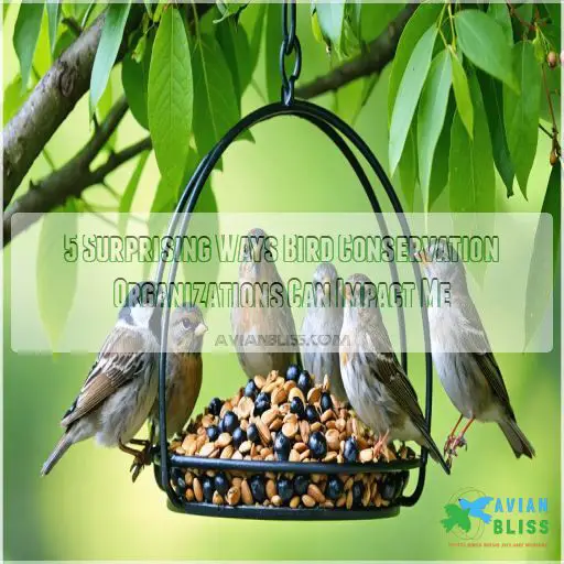 5 Surprising Ways Bird Conservation Organizations Can Impact Me