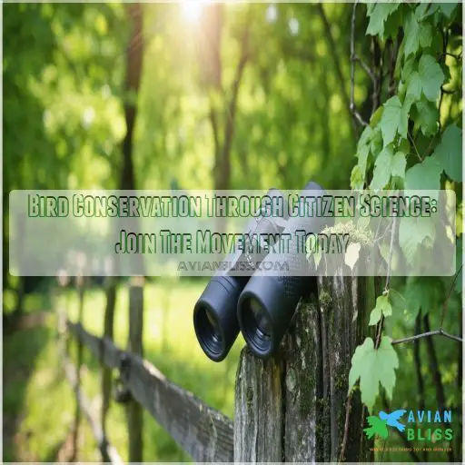 Bird Conservation Through Citizen Science: Join The Movement Today