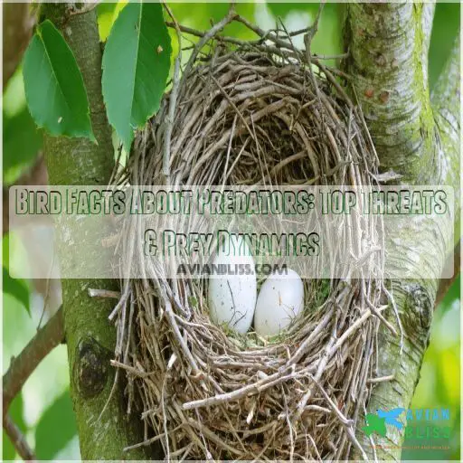 Bird Facts About Predators: Top Threats & Prey Dynamics