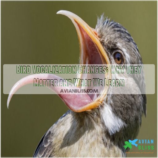 Cool Facts on Bird Vocalization: Why Birds Sing and How They Communicate