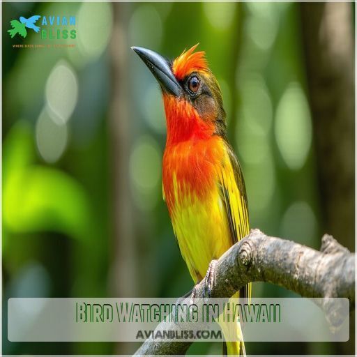 Birds of Hawaii: Explore Native and Exotic Species (2024 Guide)