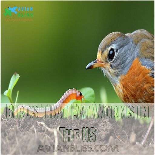 How Do Birds Find Worms? Secrets Behind Their Incredible Senses