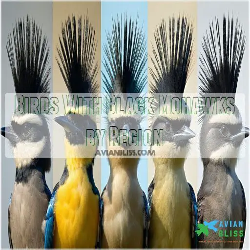 Birds With Black Mohawks: Stunning Species With Unique Head Feathers