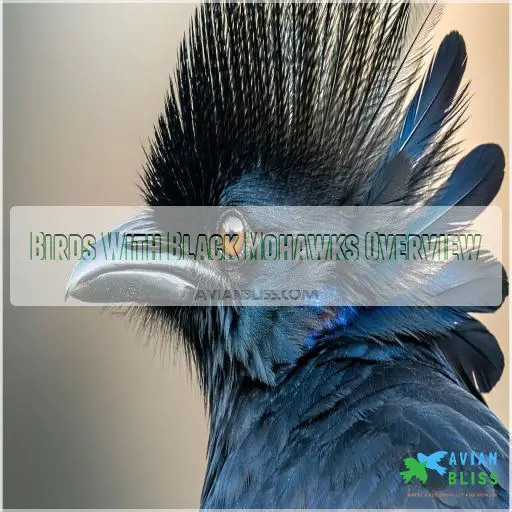 Birds With Black Mohawks: Stunning Species With Unique Head Feathers